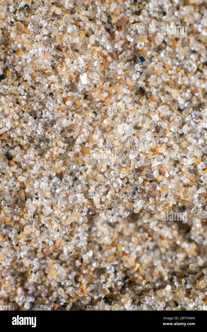 Closeup of sand grain at a beach Stock Photo - Alamy
