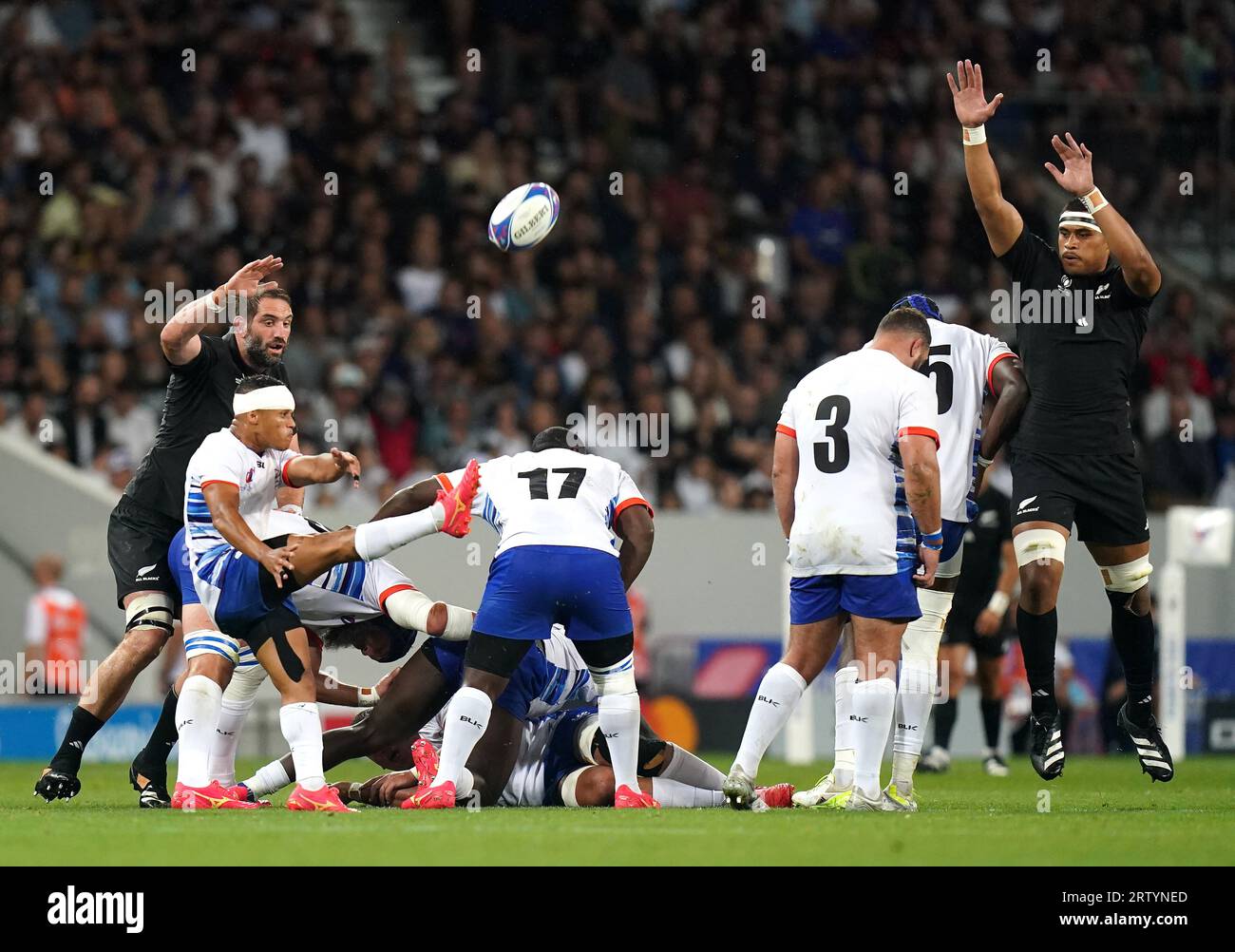 Damian stevens hi-res stock photography and images - Alamy