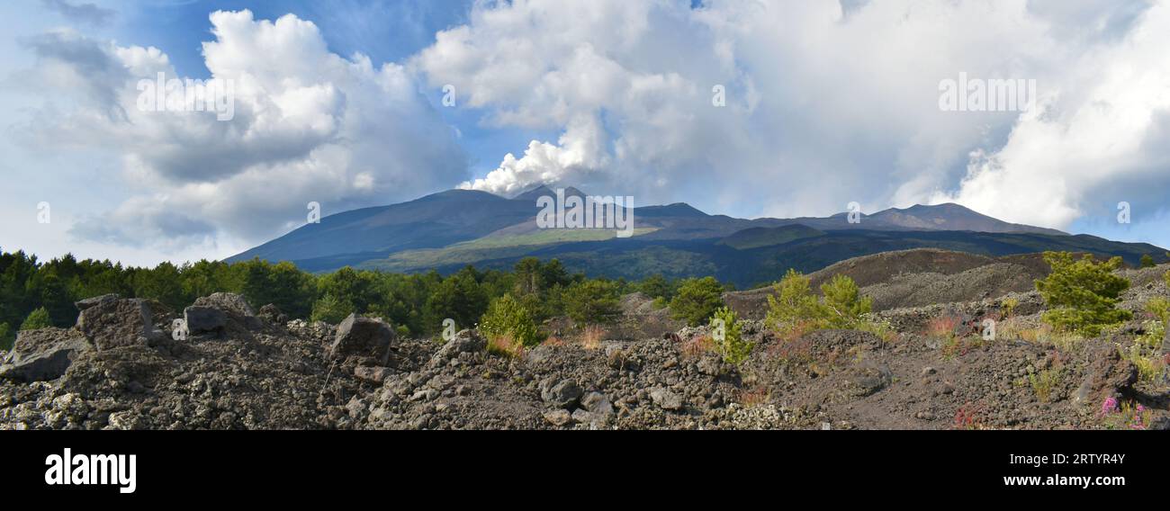 Etna volcano, smoking volcano, lava with growing vegetation ...