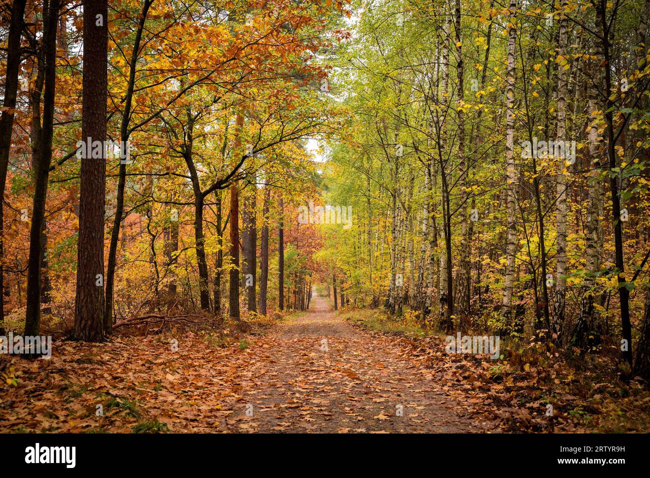 Wide shot hi-res stock photography and images - Alamy