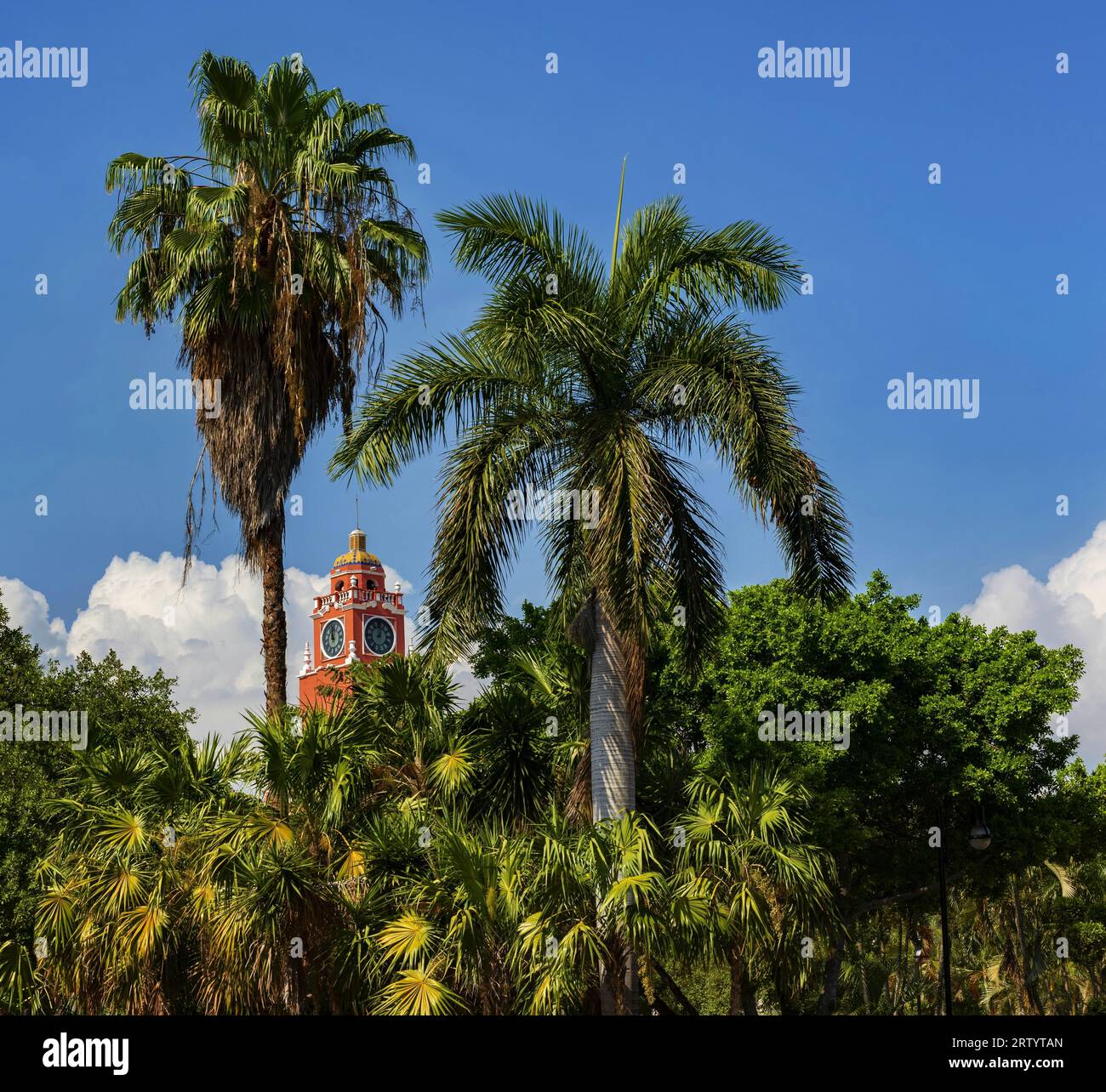 Clock tower of the Municipal Palace in Mérida, Mexico Stock Photo - Alamy
