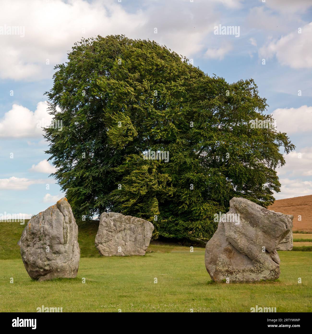 Stonehenge sarsen stones hi-res stock photography and images - Alamy