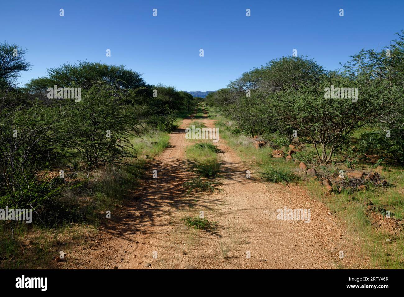 TimBila Nature Reserve: Lane through thick bush, northeast of Omaruru ...