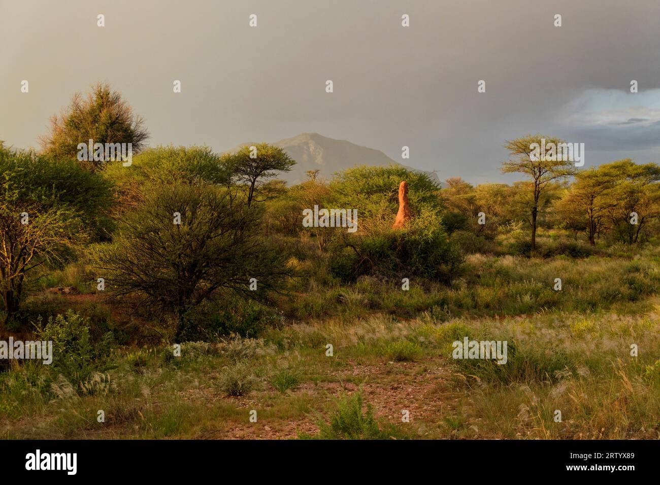 Timbila nature reserve hi-res stock photography and images - Alamy