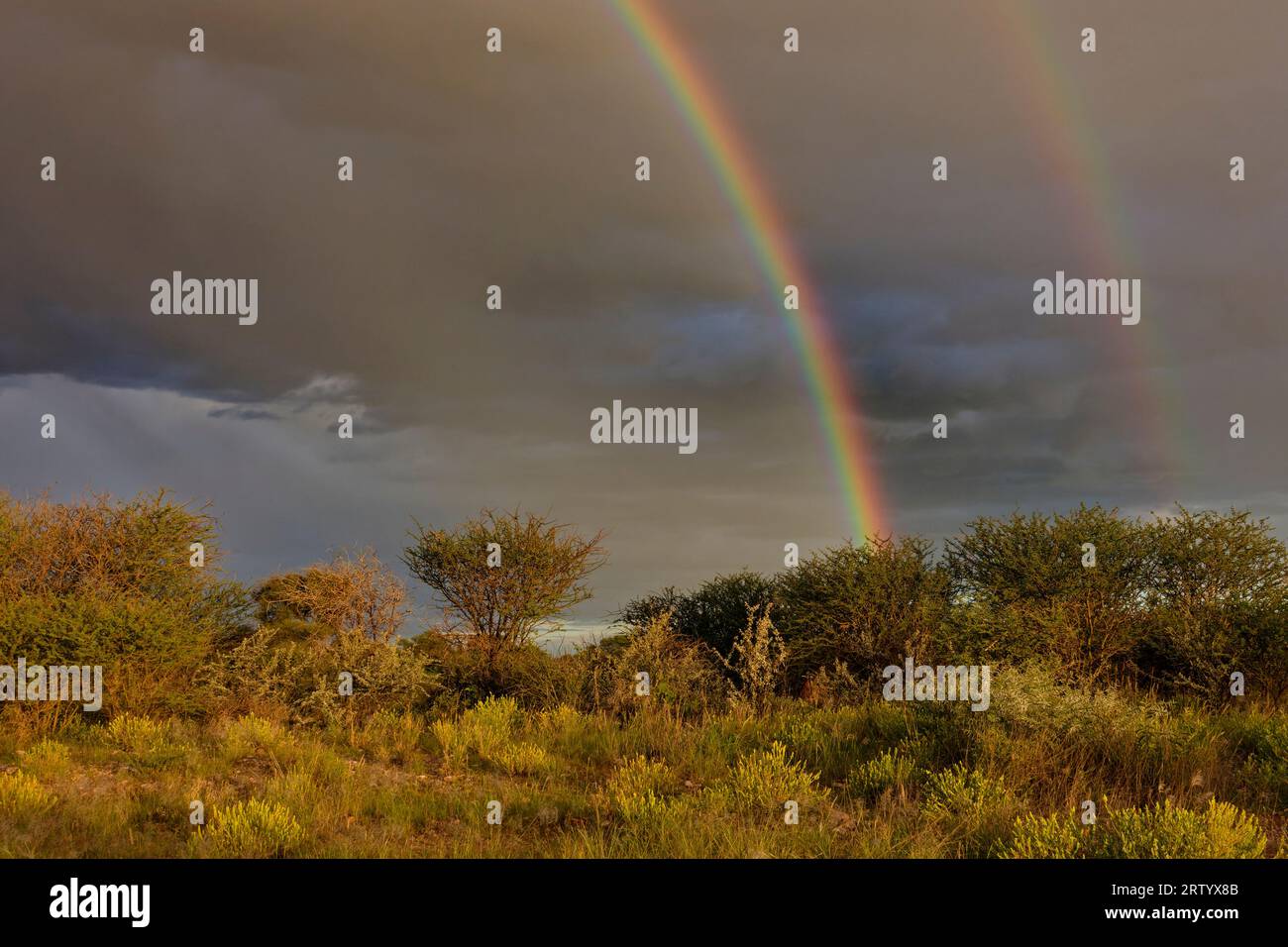 Timbila nature reserve hi-res stock photography and images - Alamy