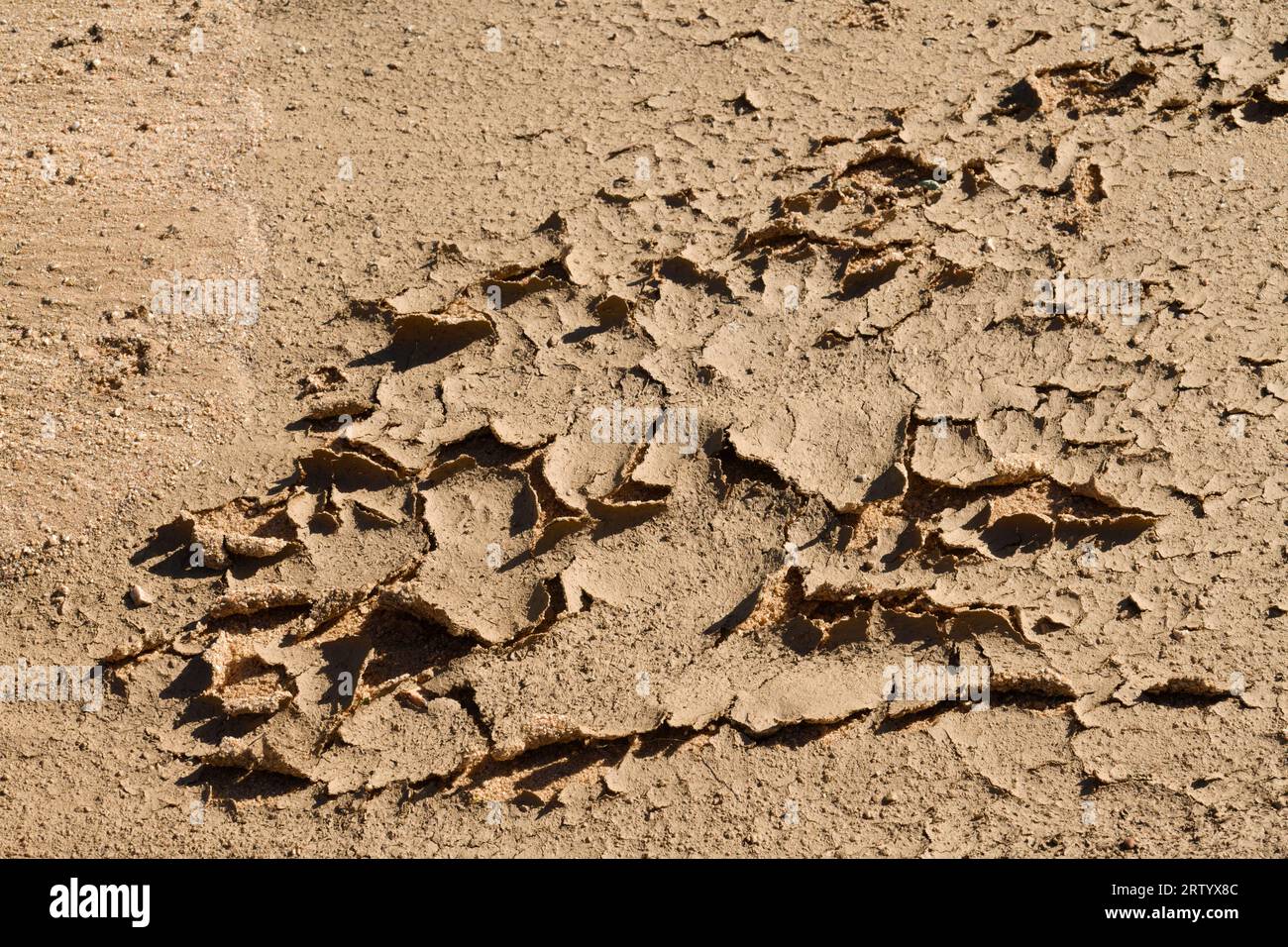 Timbila nature reserve hi-res stock photography and images - Alamy