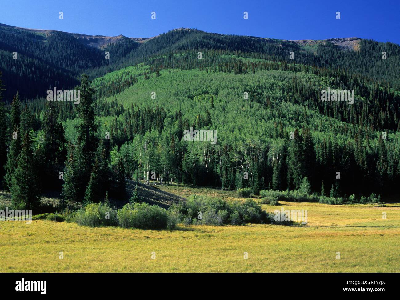 Silver thread scenic byway hi-res stock photography and images - Alamy