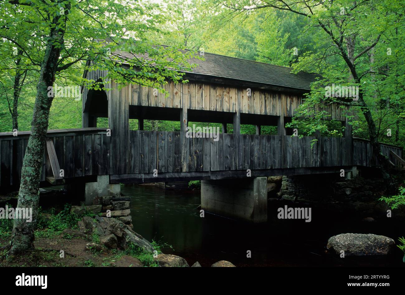Covered bridge, Devils Hopyard State Park, Connecticut Stock Photo - Alamy