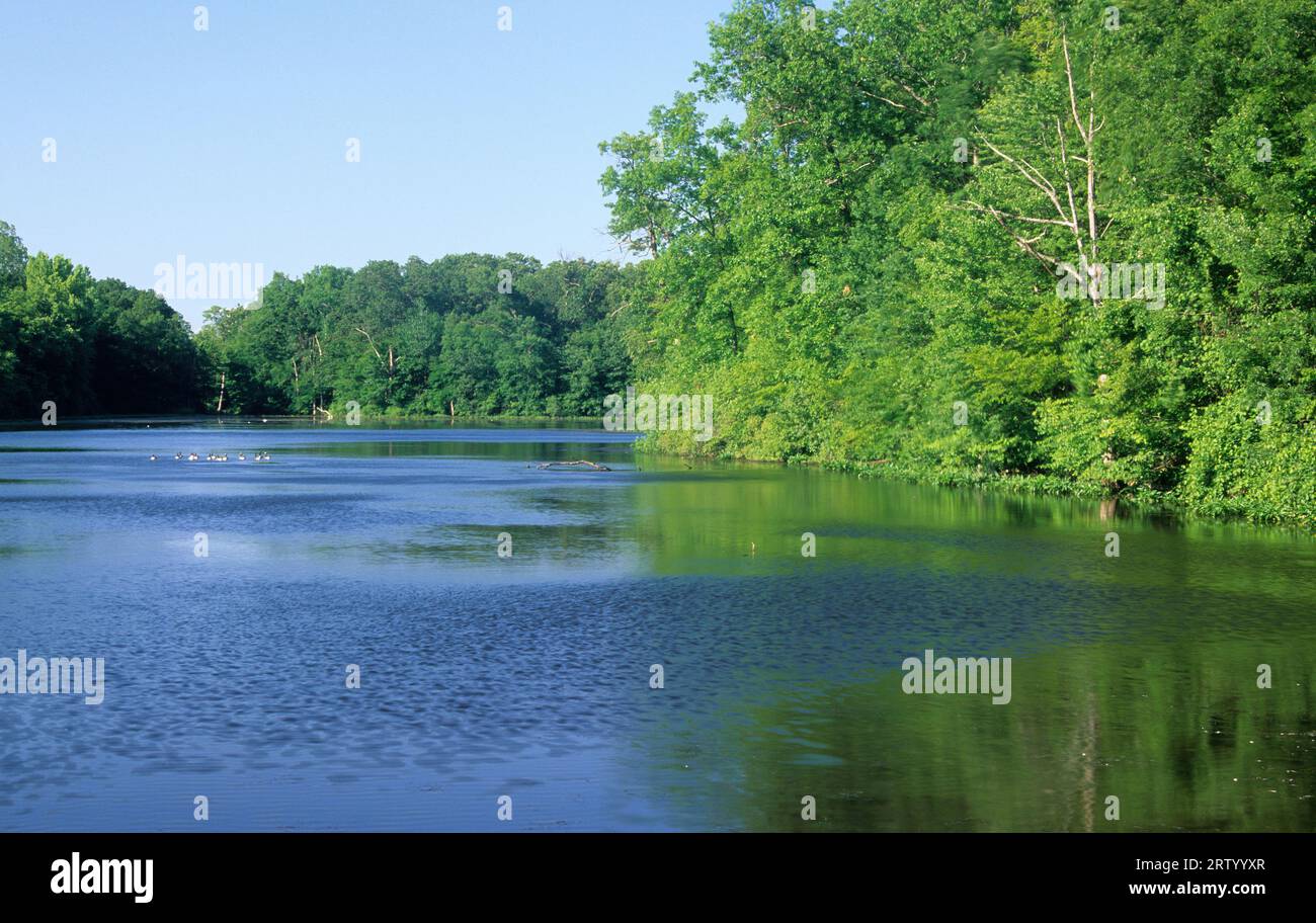 Lower Pond, AW Stanley Park, New Britain, Connecticut Stock Photo - Alamy
