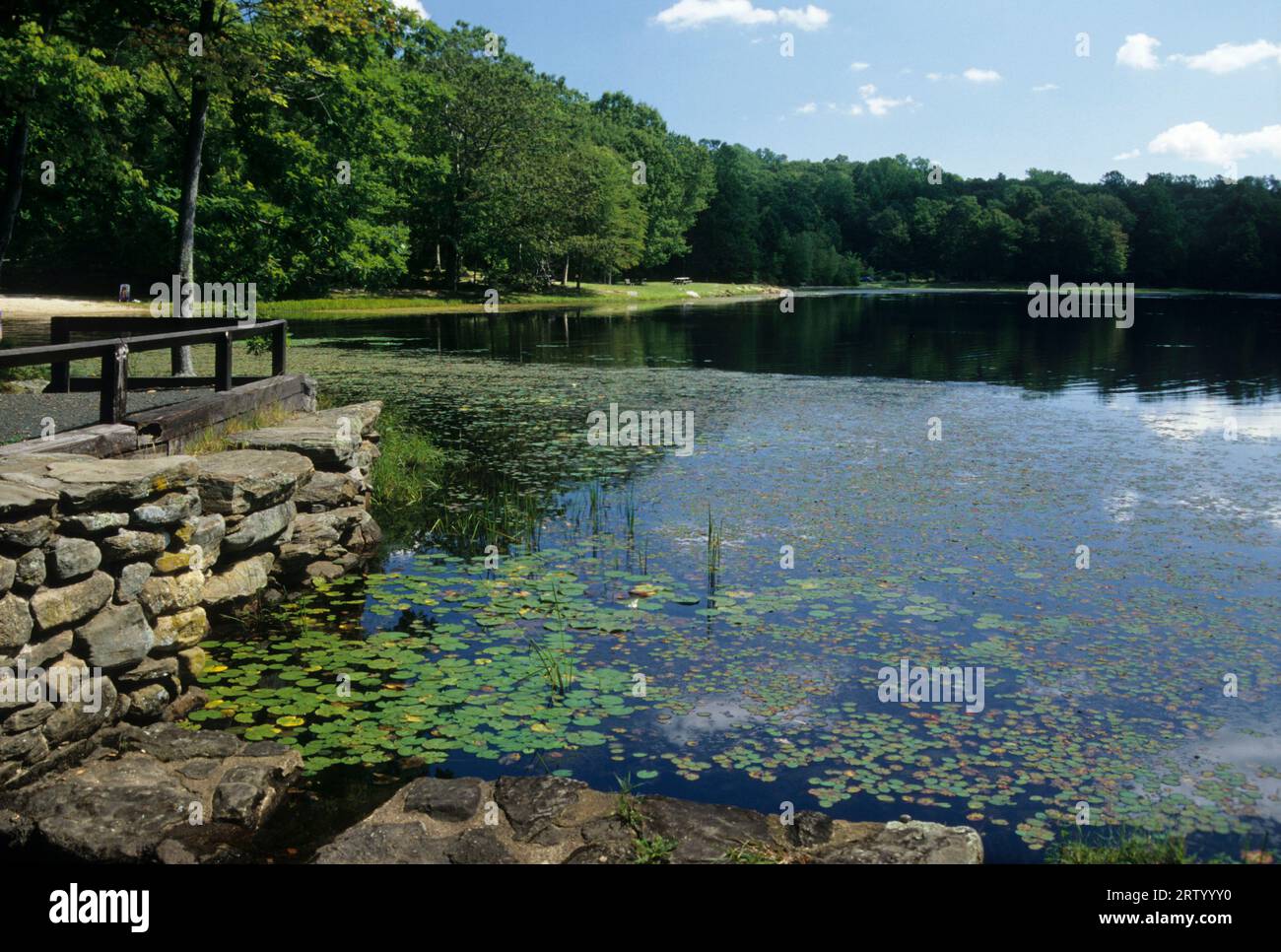 Day Pond, Day Pond State Park, Connecticut Stock Photo - Alamy