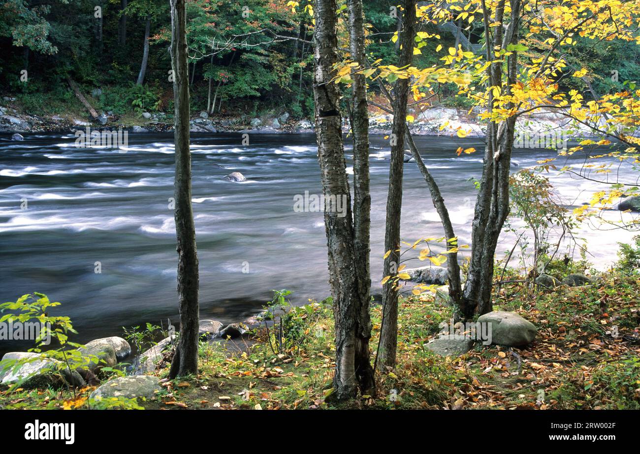 Farmington River, Farmington River Trail Park, Burlington, Connecticut ...