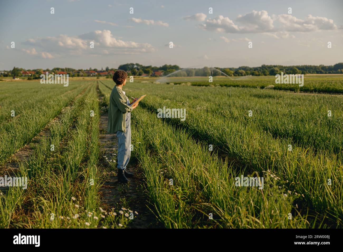 Back view of female farmer walks across a field during harvesting ...