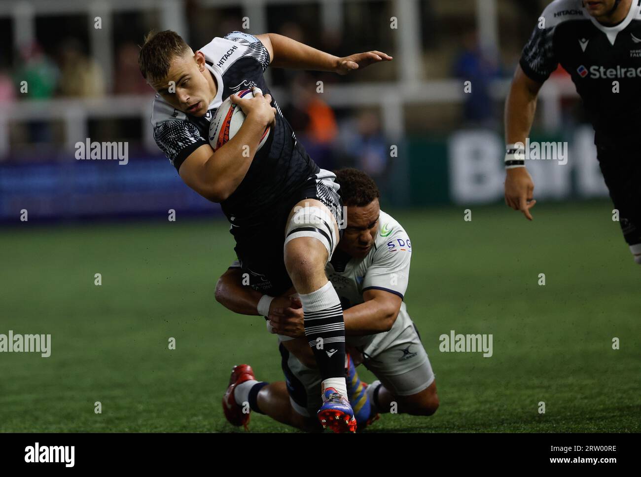 Marcus tiffen hi-res stock photography and images - Alamy