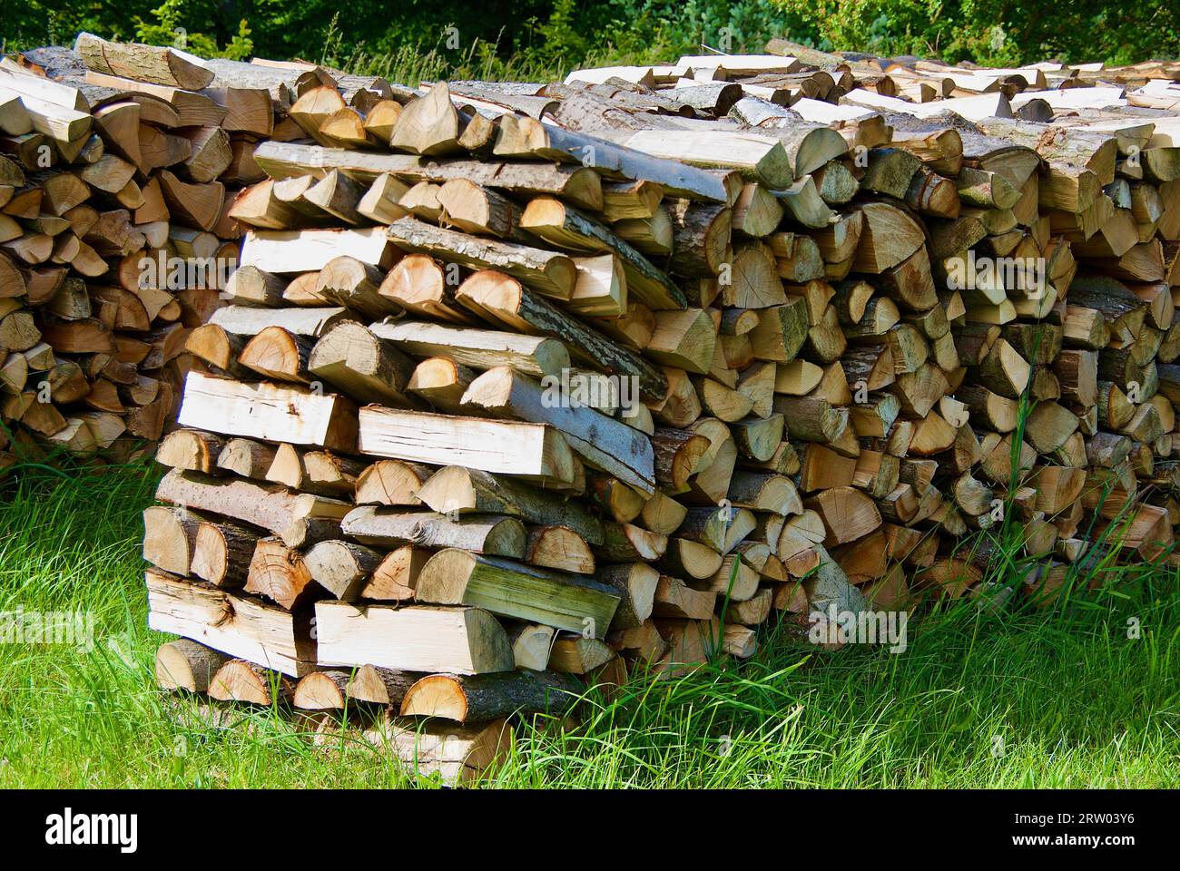 Stack with fire logs of broad-leaved trees Stock Photo - Alamy