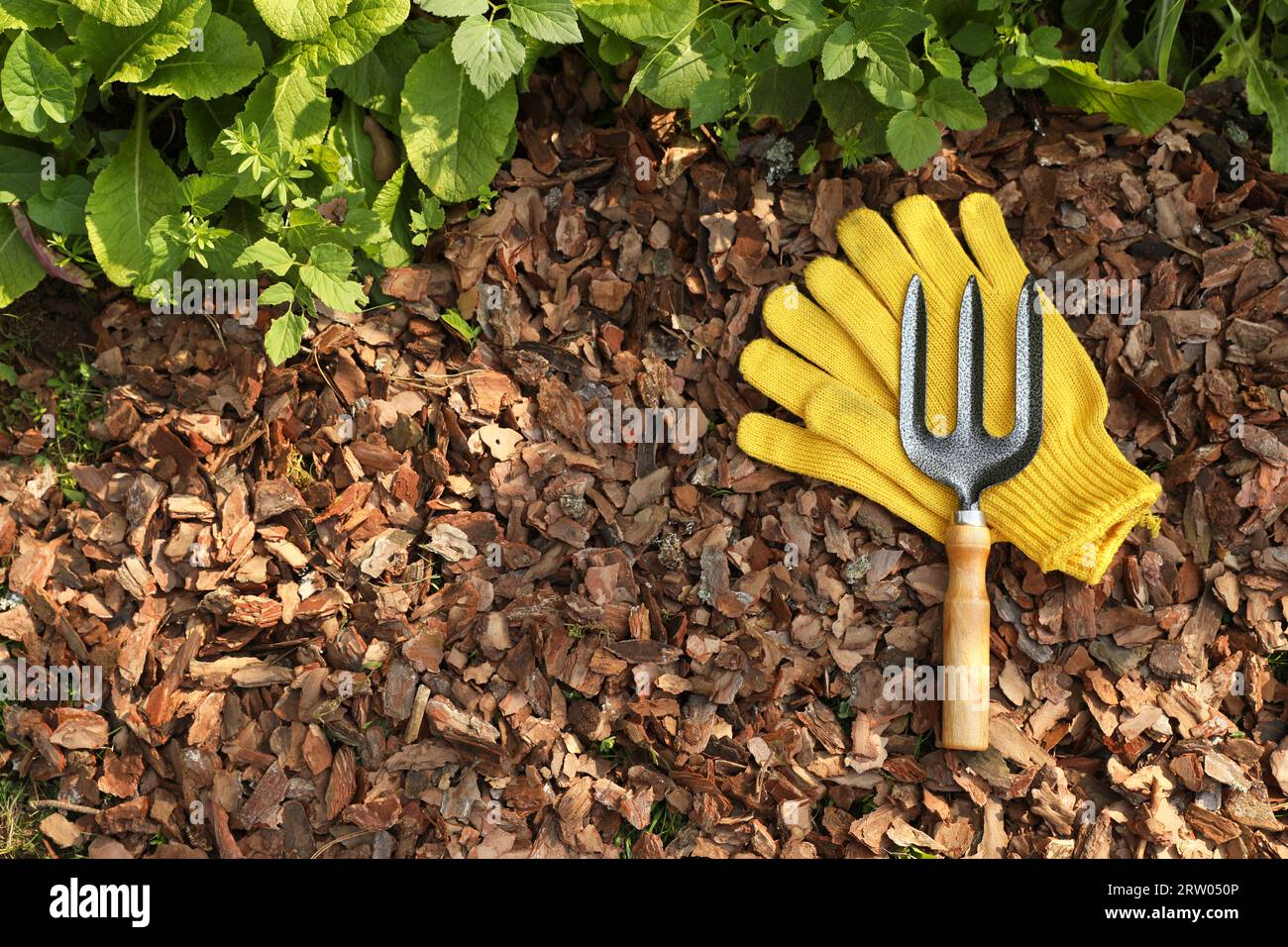 Soil mulched with bark chips, fork and gloves in garden, flat lay Stock ...
