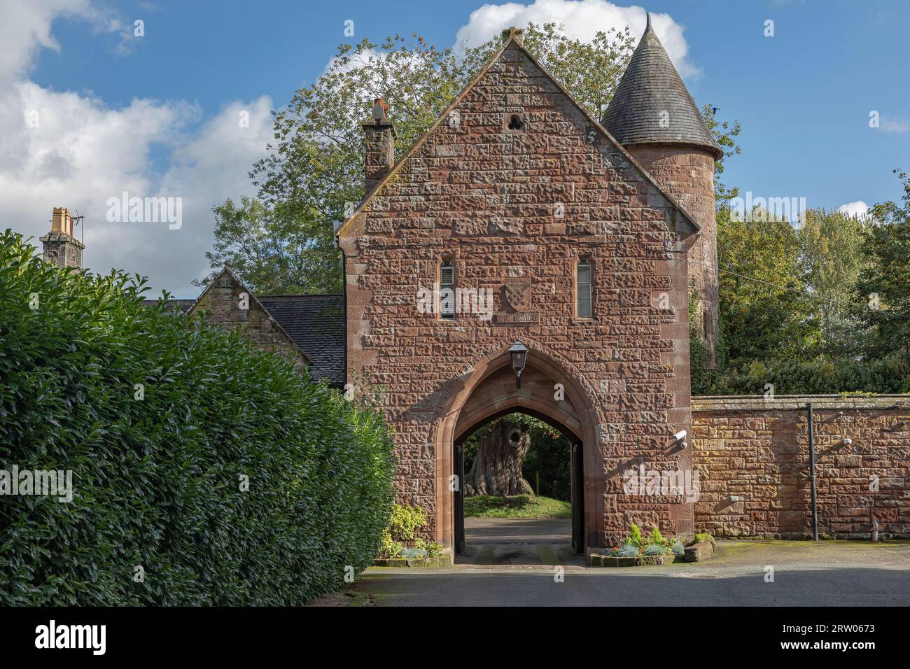 Arched castle entrance from the inside with open gates and an oak tree ...