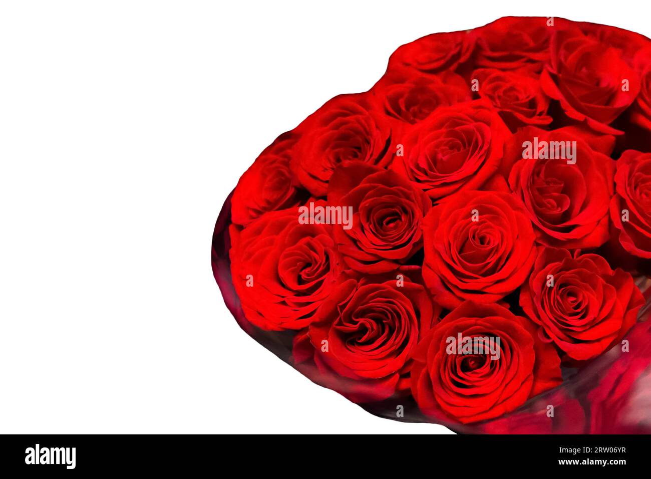 Bouquet group of many red roses flowers on the white isolated ...