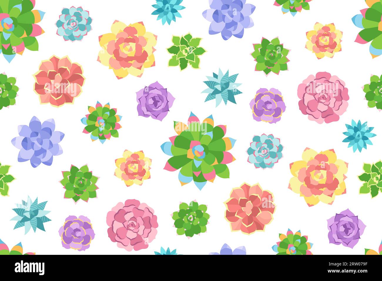 Desert rose line drawing hi-res stock photography and images - Alamy