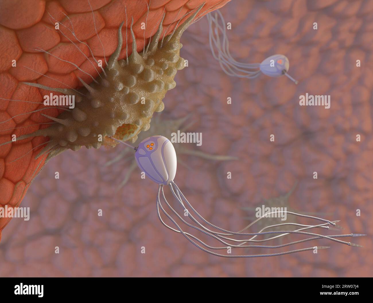 Nano mites hi-res stock photography and images - Alamy