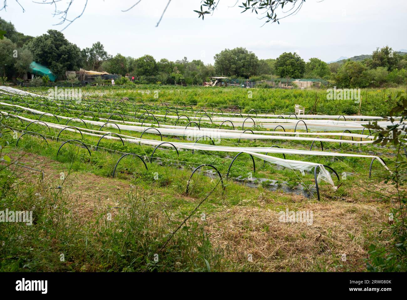Outdoor organic farm hi-res stock photography and images - Alamy