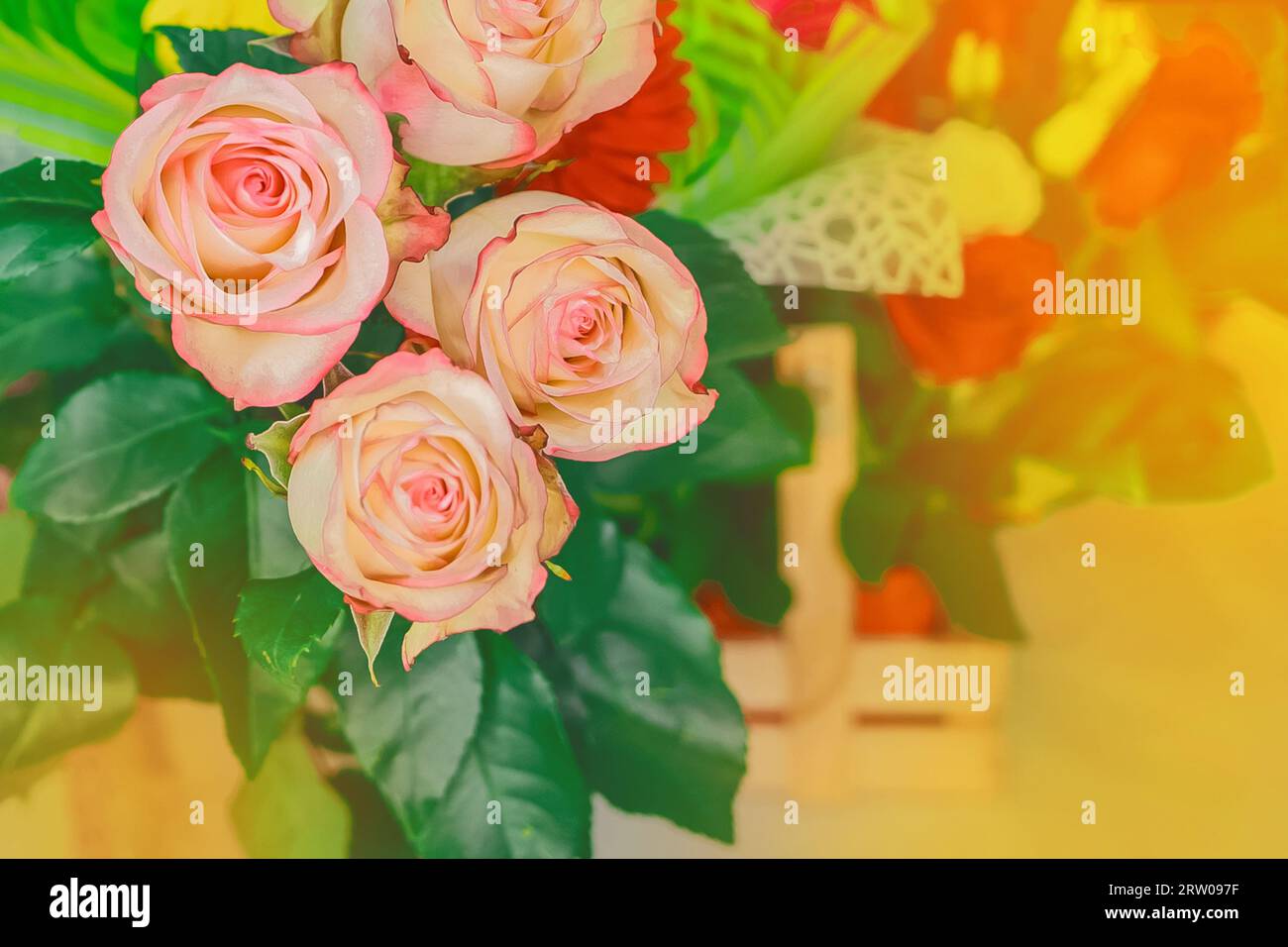 Highlights of bright pink hi-res stock photography and images - Alamy