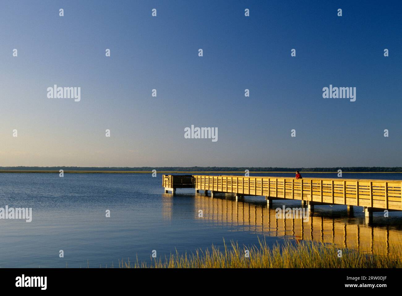 Estuary park dock, Cumberland Island National Seashore, St Marys ...