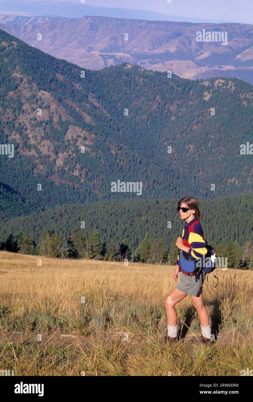Boise Trail north of Heavens Gate, Hells Canyon National Recreation ...
