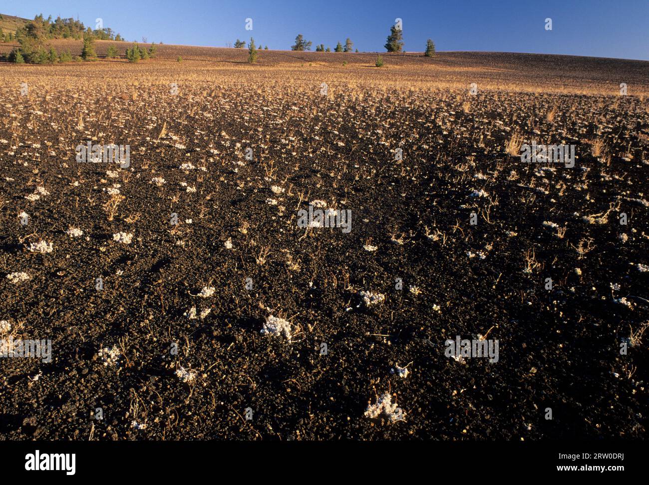 Cinder field near Inferno Cone, Craters of the Moon National Monument ...