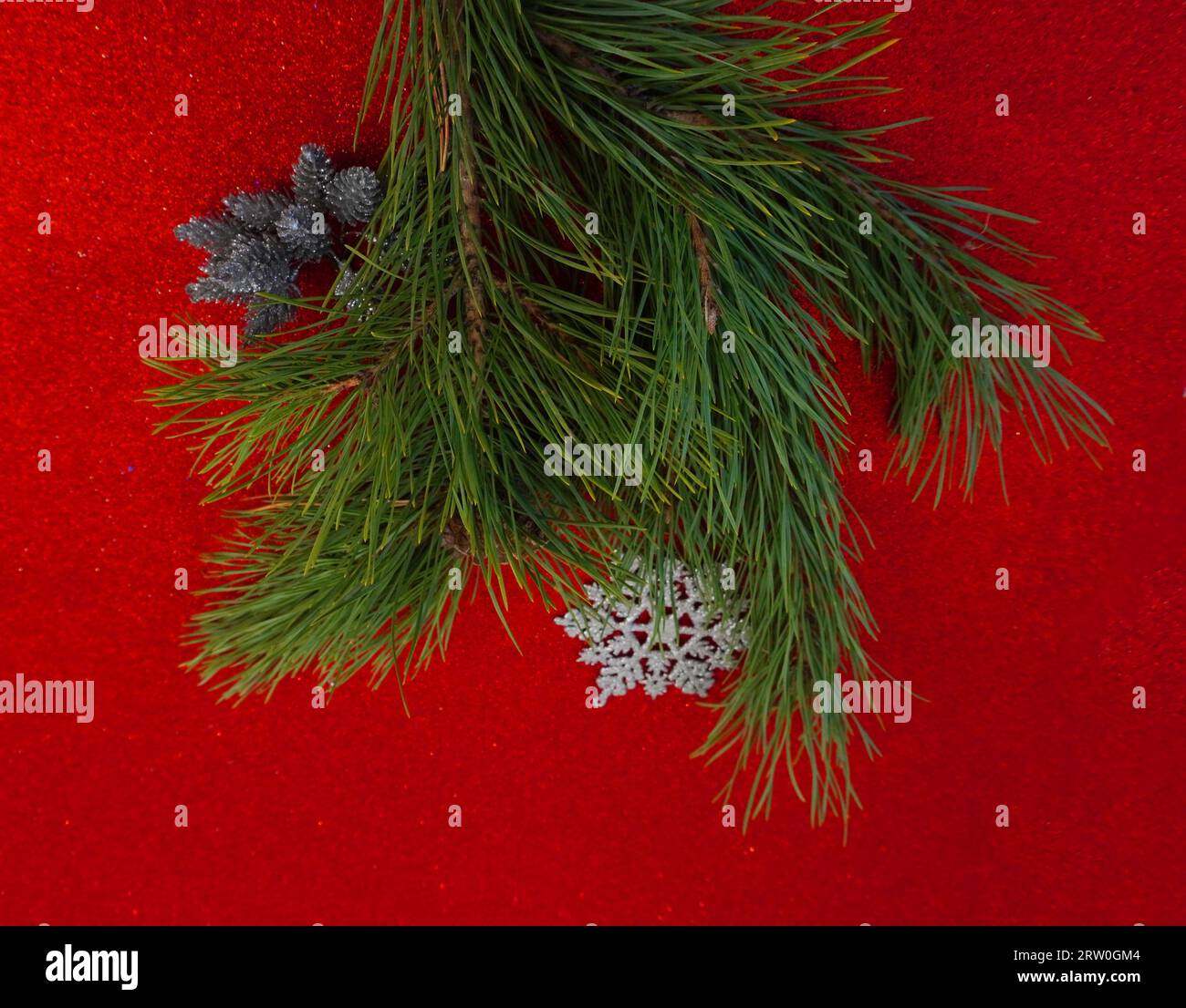 Christmas card on a red background Christmas tree sprig and balls Stock ...
