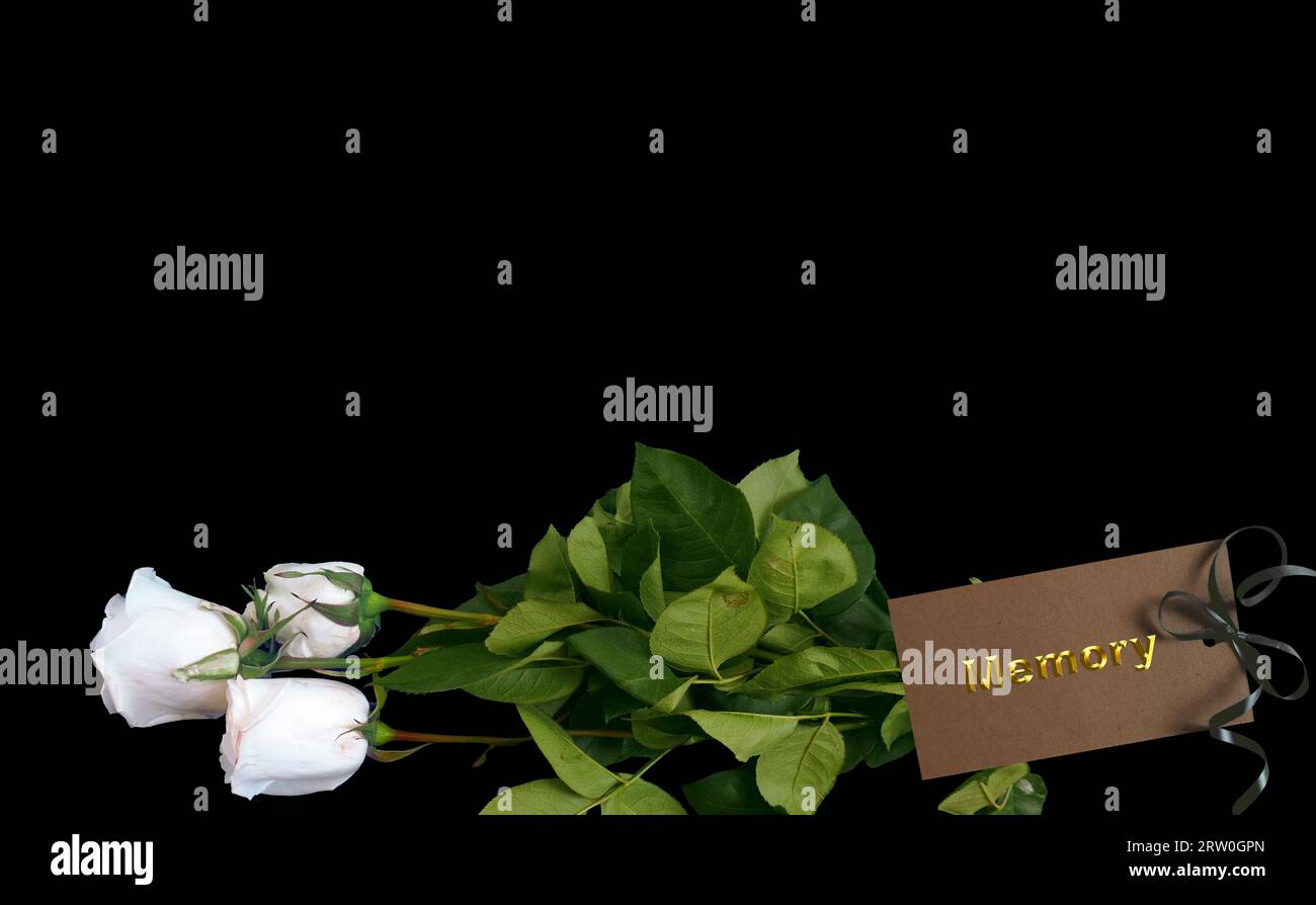Death card, funeral, commemoration with white roses on a black ...