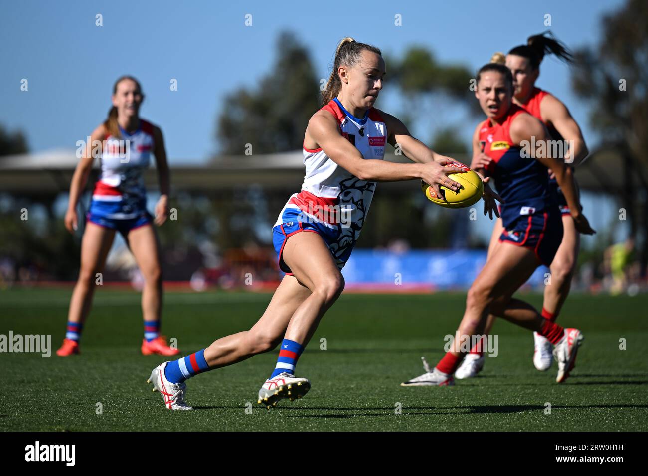Melbourne, Australia. 16th Sep, 2023. Rylie Wilcox of the Bulldogs ...