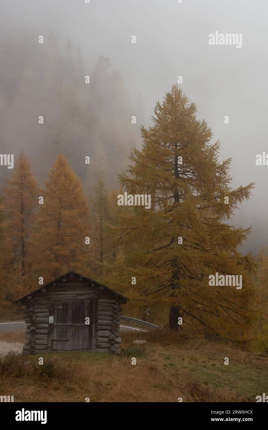 Autumn landscape in the forest. wooden log cabin at the valley. Yellow ...
