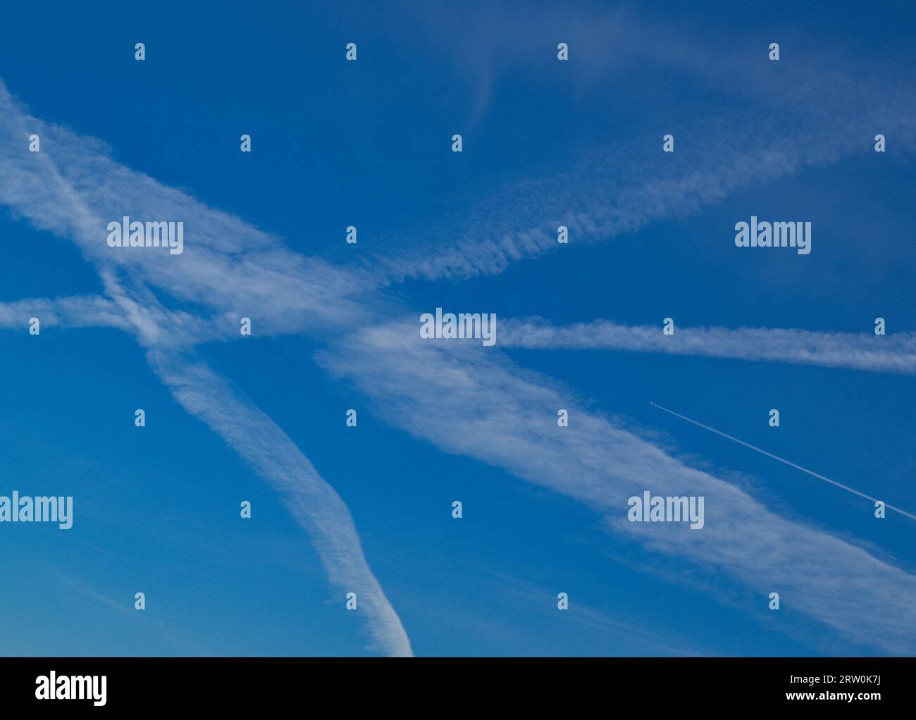 Sieversdorf, Germany. 16th Sep, 2023. Many contrails from air traffic ...