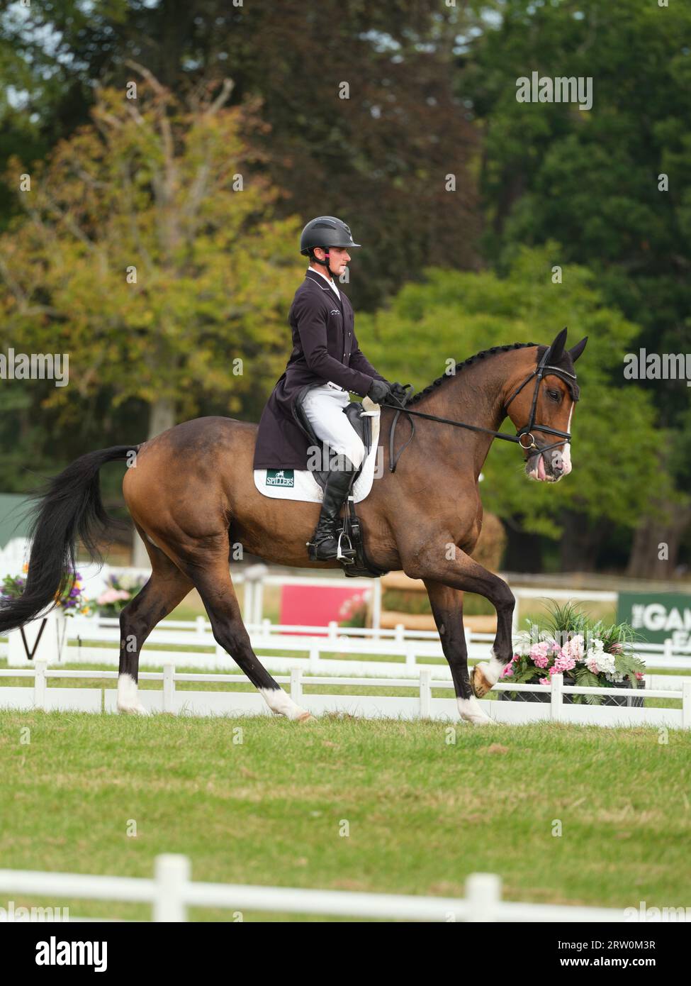 Jack Pinkney of Great Britain with Rehy Revelation during the CCI-L 4 ...