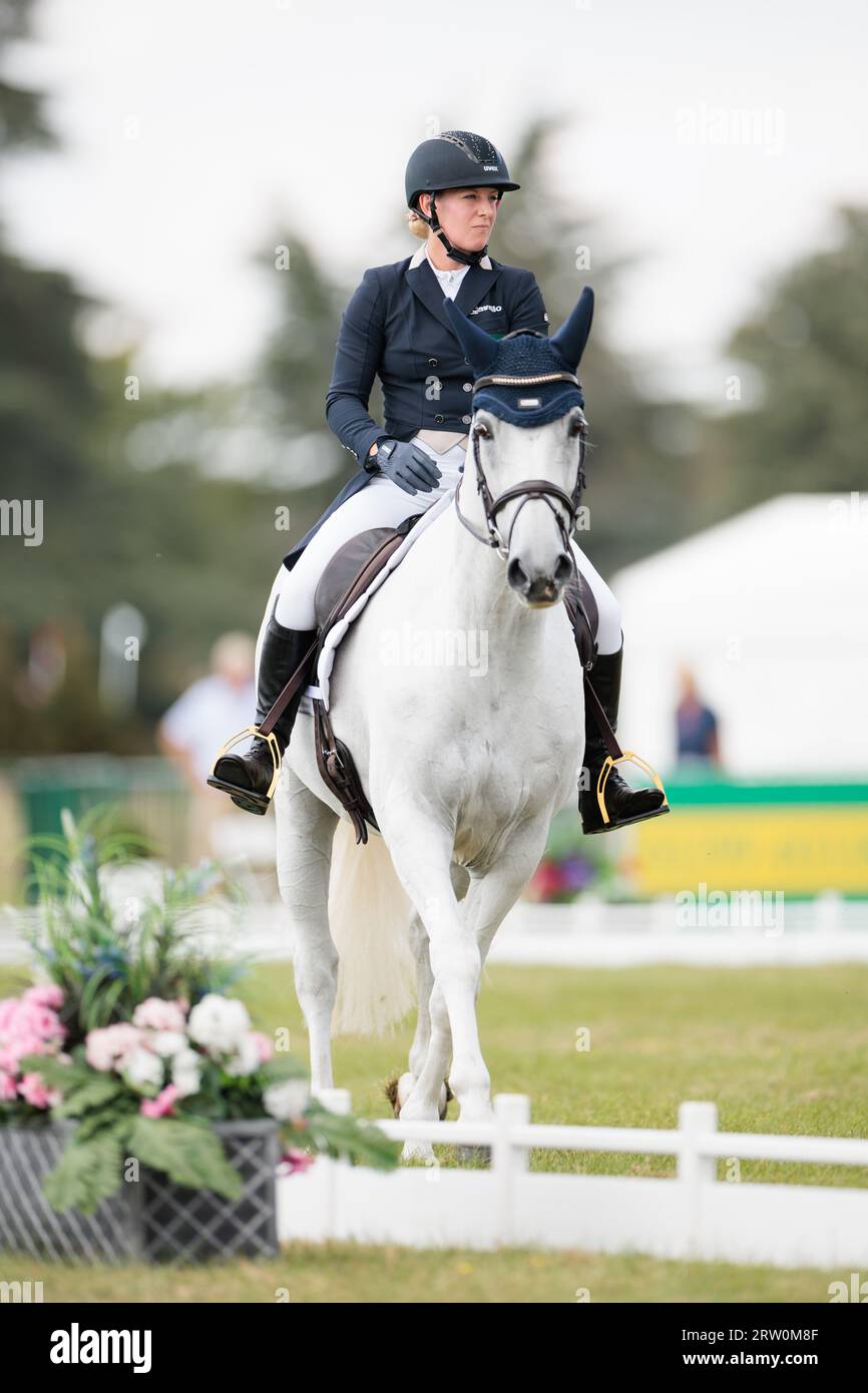 David warrilow hi-res stock photography and images - Alamy