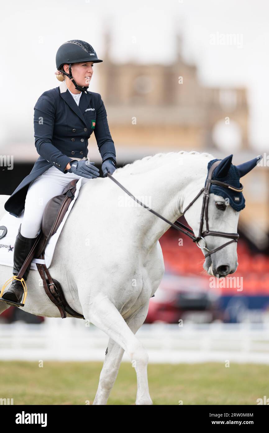 David warrilow hi-res stock photography and images - Alamy