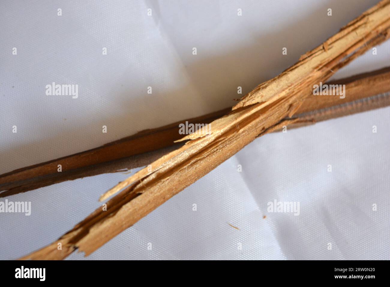 Unusual things, two brown wooden broken sticks, long splinters from ...