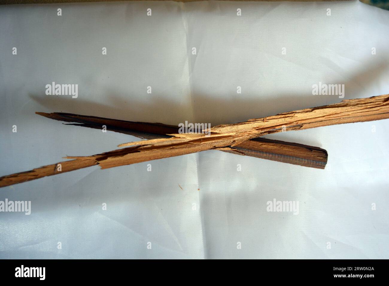Unusual things, two brown wooden broken sticks, long splinters from ...