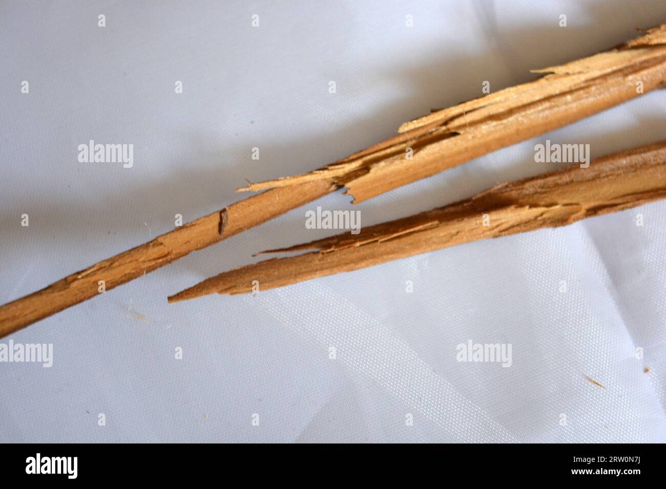 Splinters needle hi-res stock photography and images - Alamy
