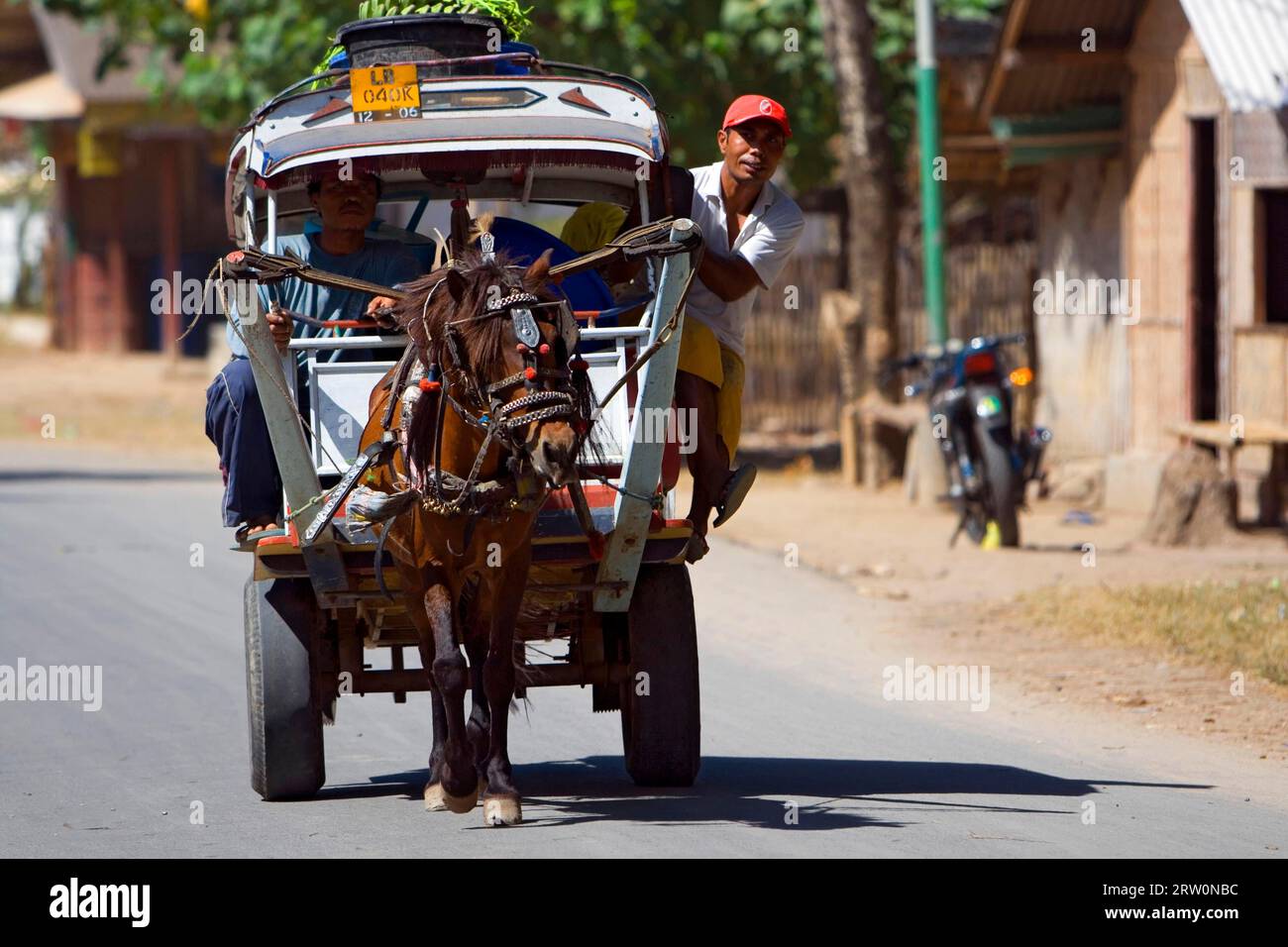 Cidomo horse-drawn carriage, Lombok, Indonesia Stock Photo - Alamy