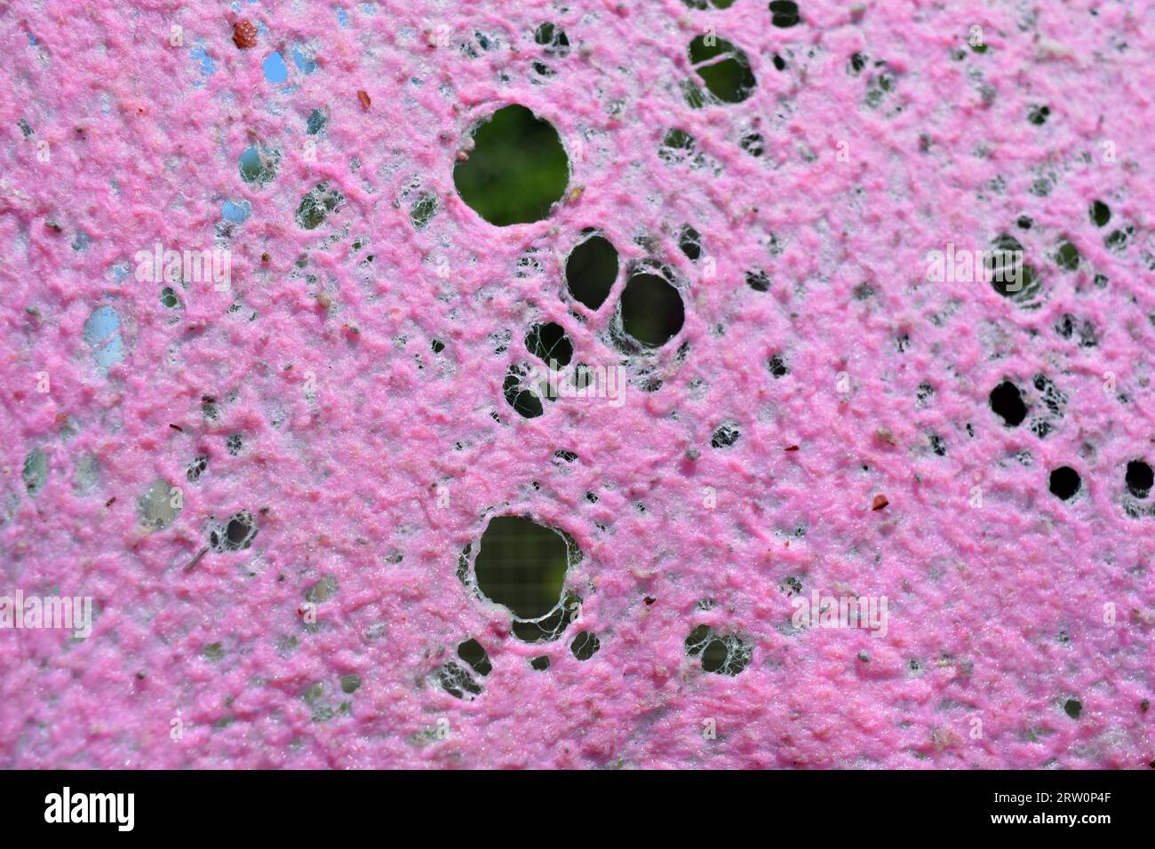 A pink flap, a small piece of pink cloth, a dusting cloth with large ...