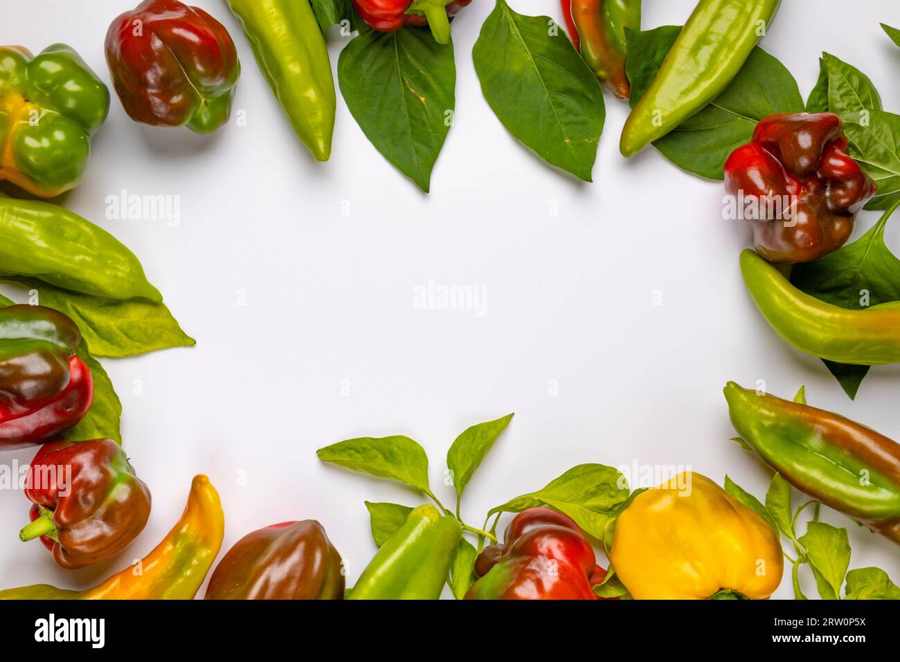 Frame of different types of sweet pepper (Capsicum) and leaves of the ...