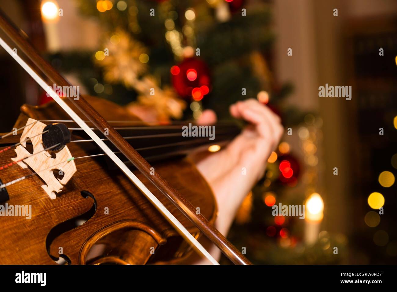 Violin with christmas tree, violin with christmas tree Stock Photo - Alamy