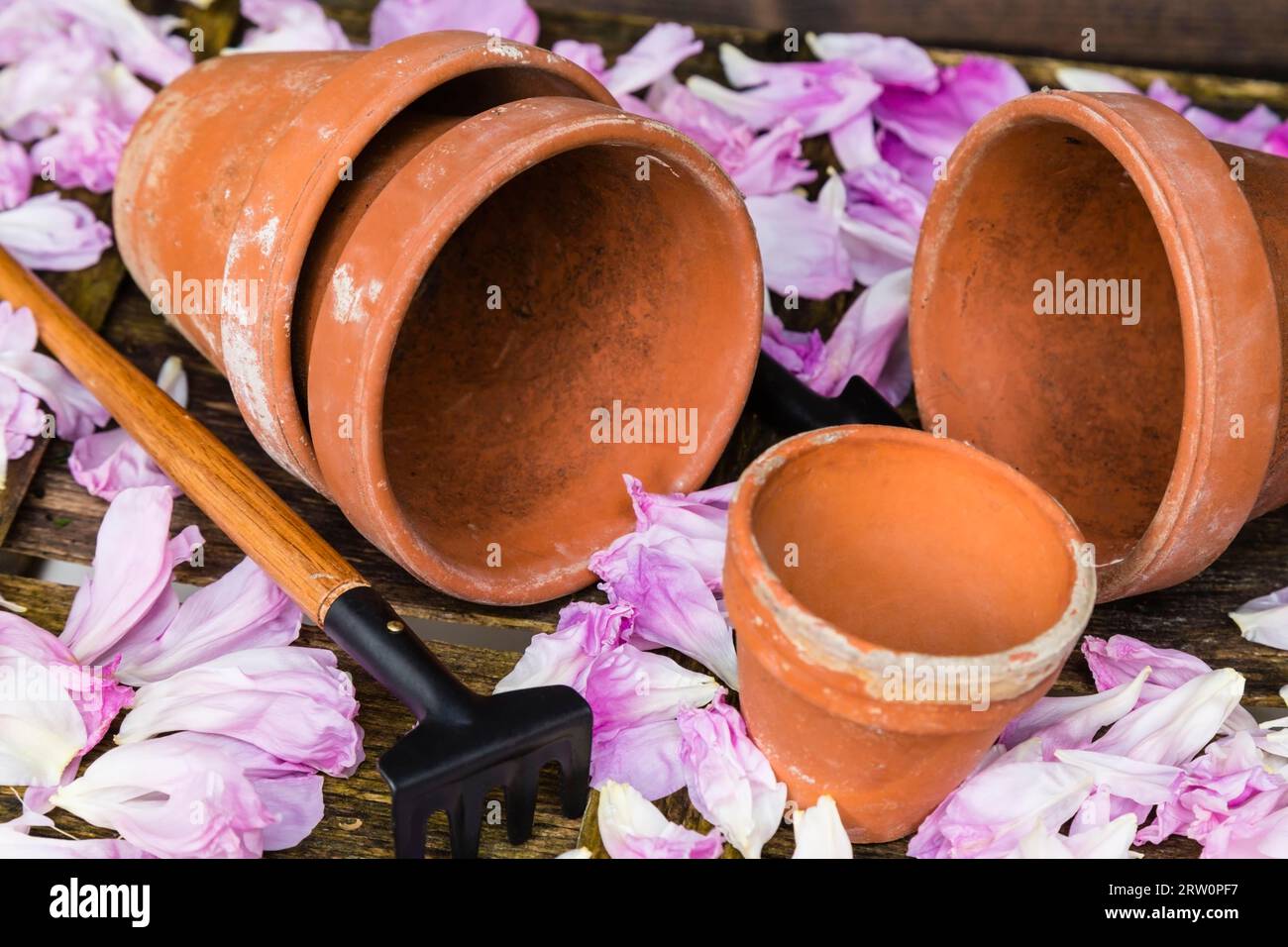 Still life flower pot hi-res stock photography and images - Alamy