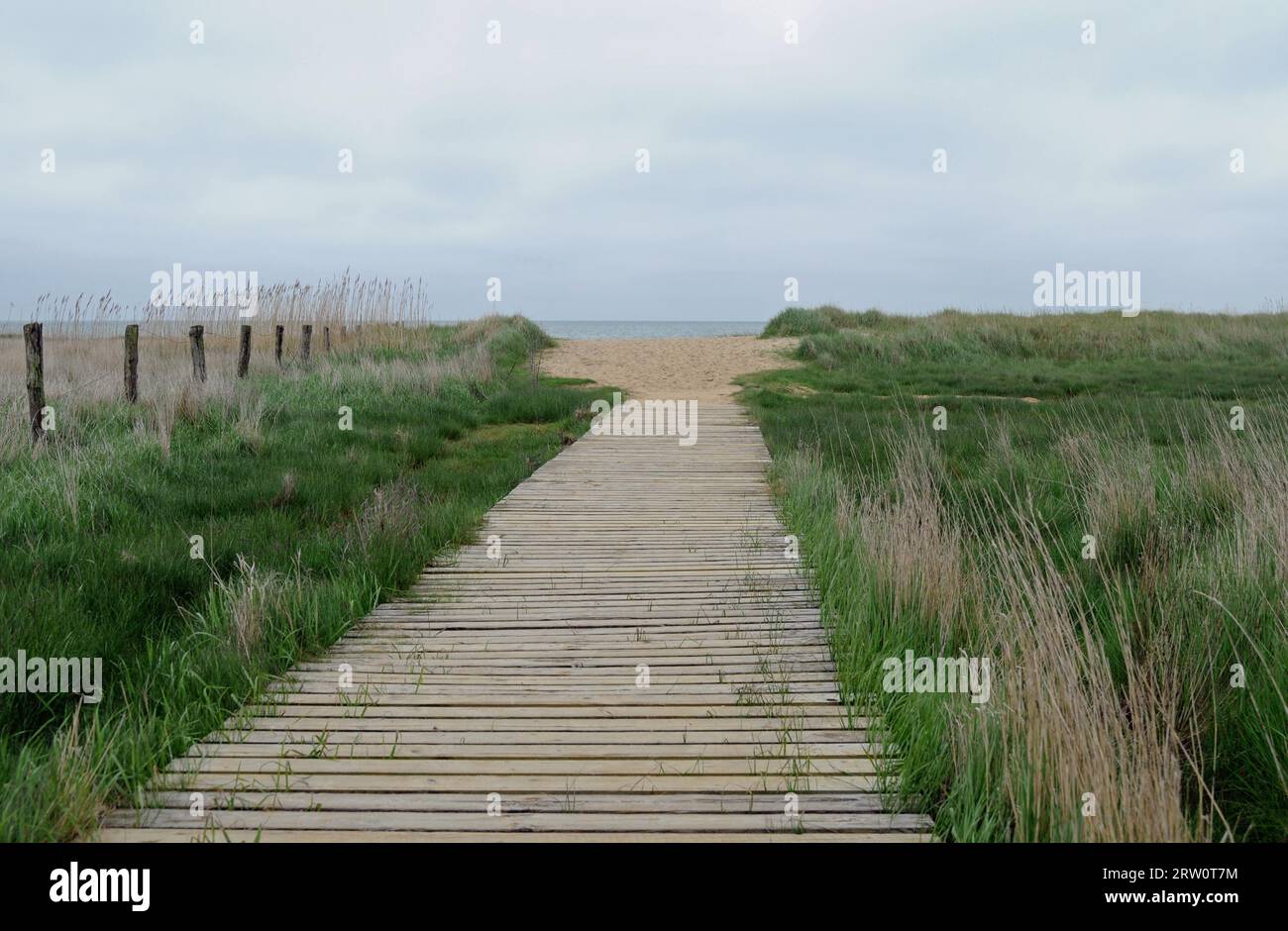 Wooden plank path to the east coast of the island of Sylt Stock Photo ...