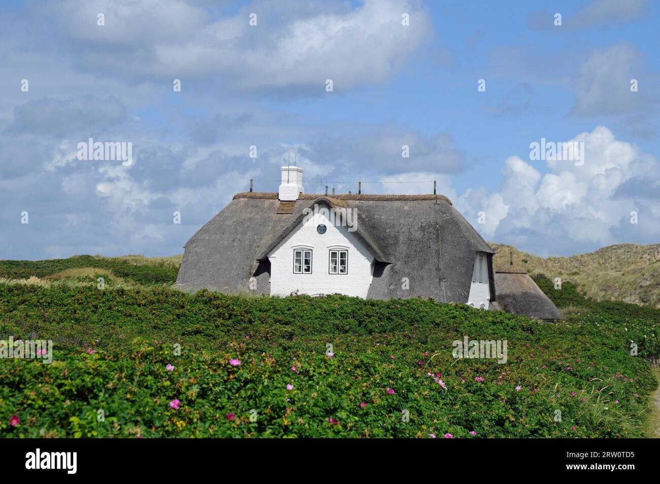 Thatched Roof House on Sylt Stock Photo - Alamy