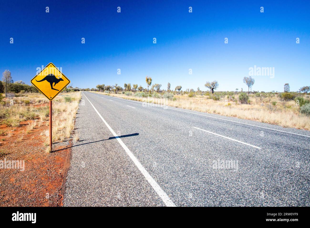 An iconic warning road sign for kangaroos near Uluru in Northern ...