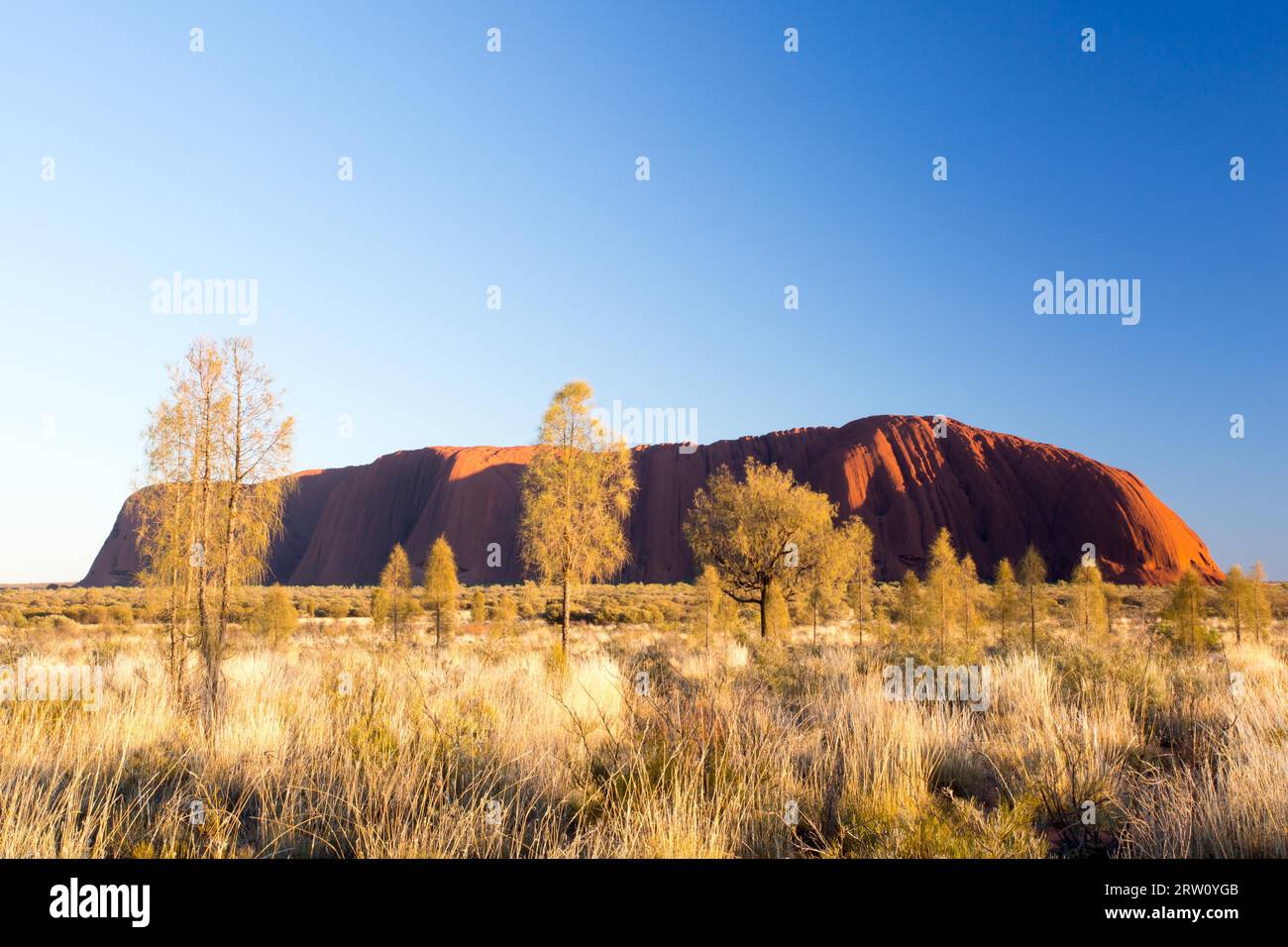 Uluru at Sunrise Stock Photo - Alamy