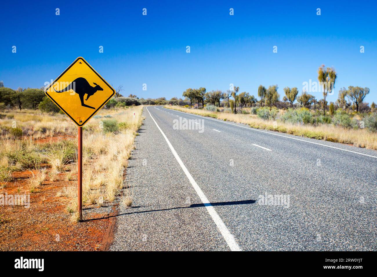 An iconic warning road sign for kangaroos near Uluru in Northern ...