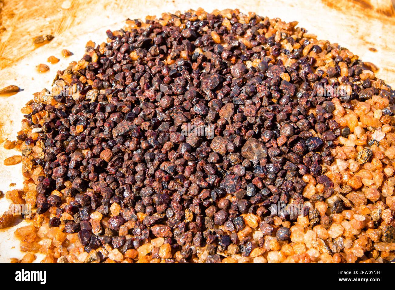 A collection of Garnet gemstones sorted from a sieve by hand in Gemtree ...